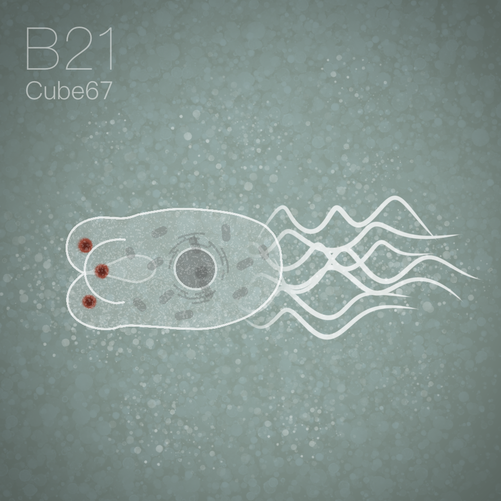 Sagan 4 Forum -> Generation 21 Species Compendium