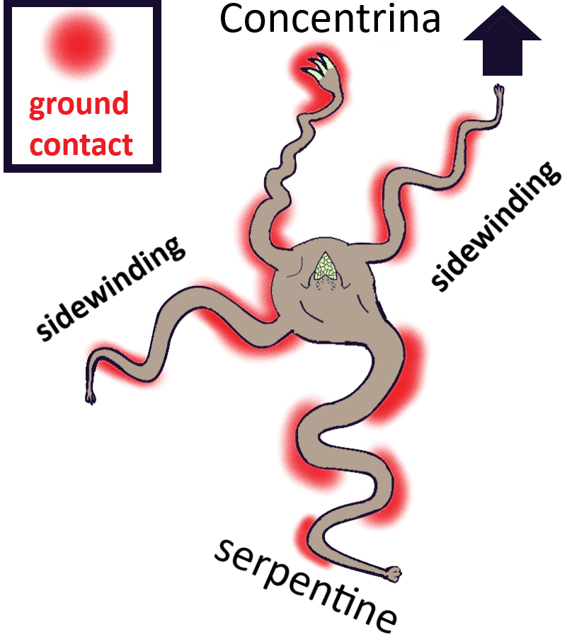 Sagan 4 Forum -> Generation 21 Species Compendium