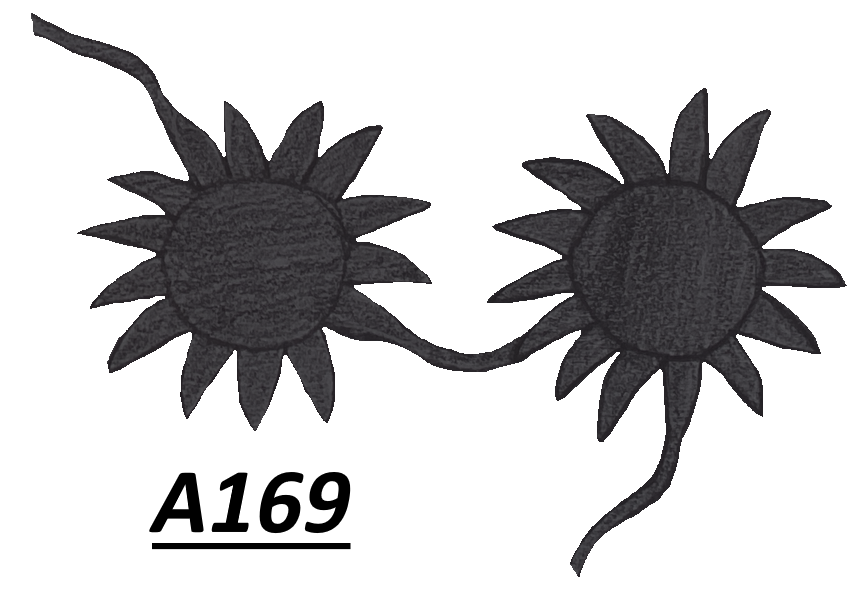 Sagan 4 Forum -> Week 27 - Generation 169 Compendium