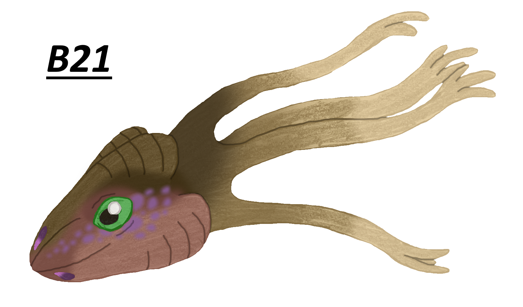 Sagan 4 Forum -> Generation 21 Species Compendium