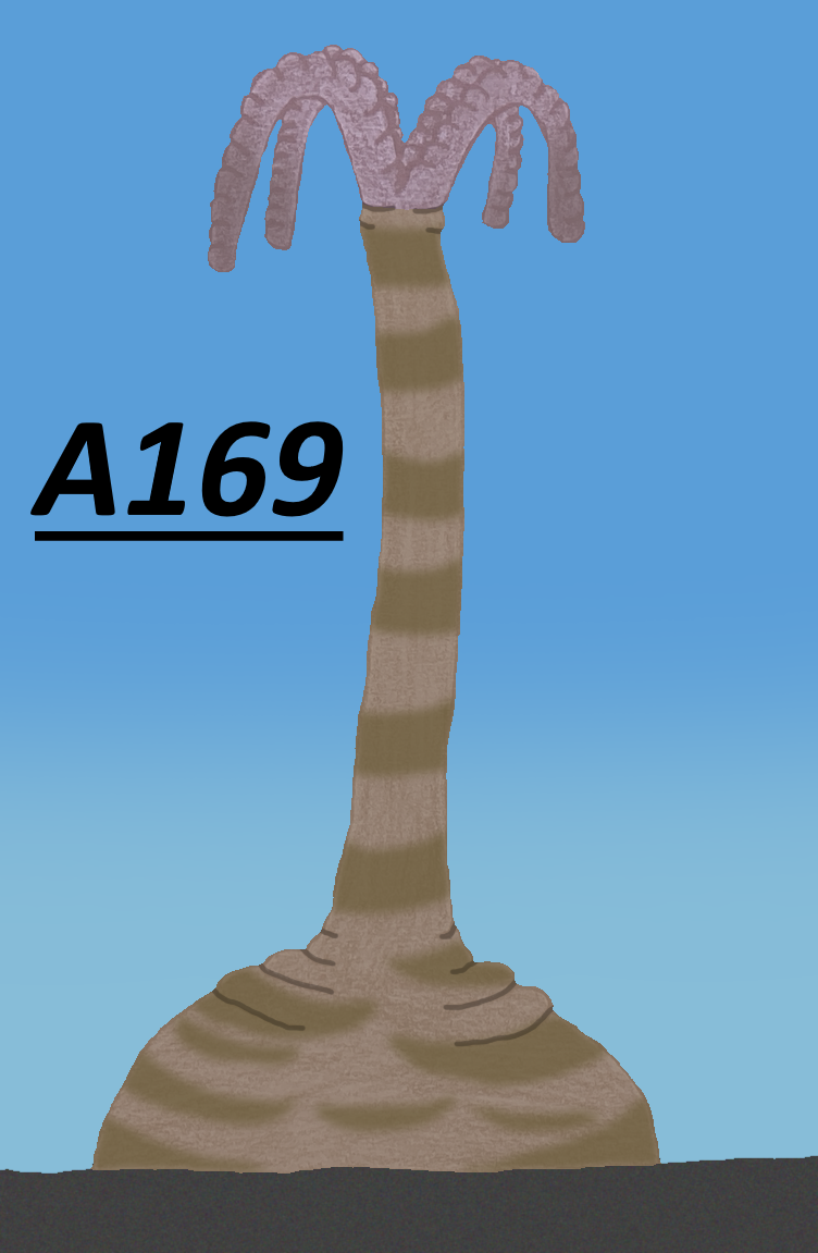 Sagan 4 Forum -> Week 27 - Generation 169 Compendium