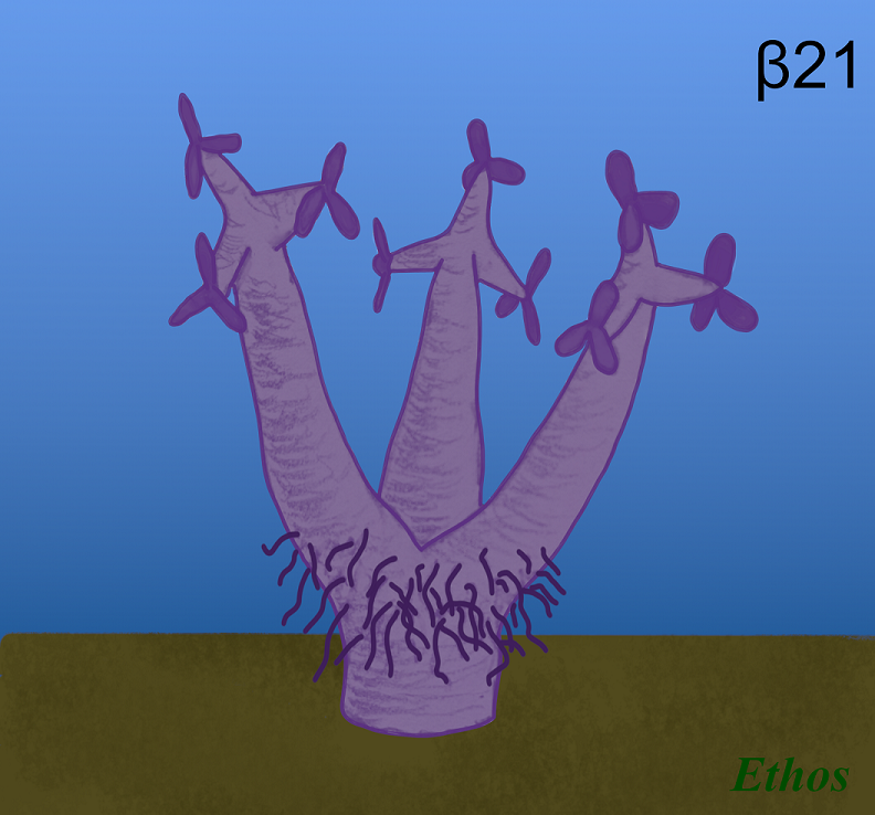 Sagan 4 Forum -> Generation 21 Species Compendium