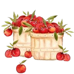 Cider Bloom on Toyhouse