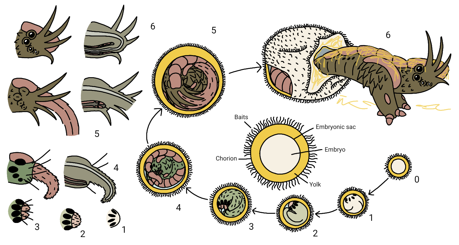 Sagan 4 Forum -> Generation 21 Species Compendium