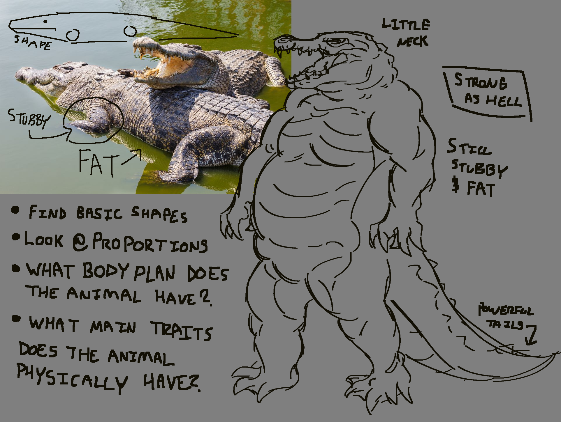 To all the furry artists, tips on drawing them? on Toyhouse