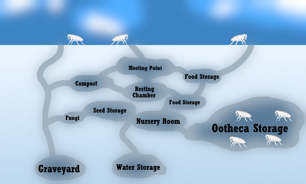Sagan 4 Forum -> Week 27 - Generation 168 Compendium