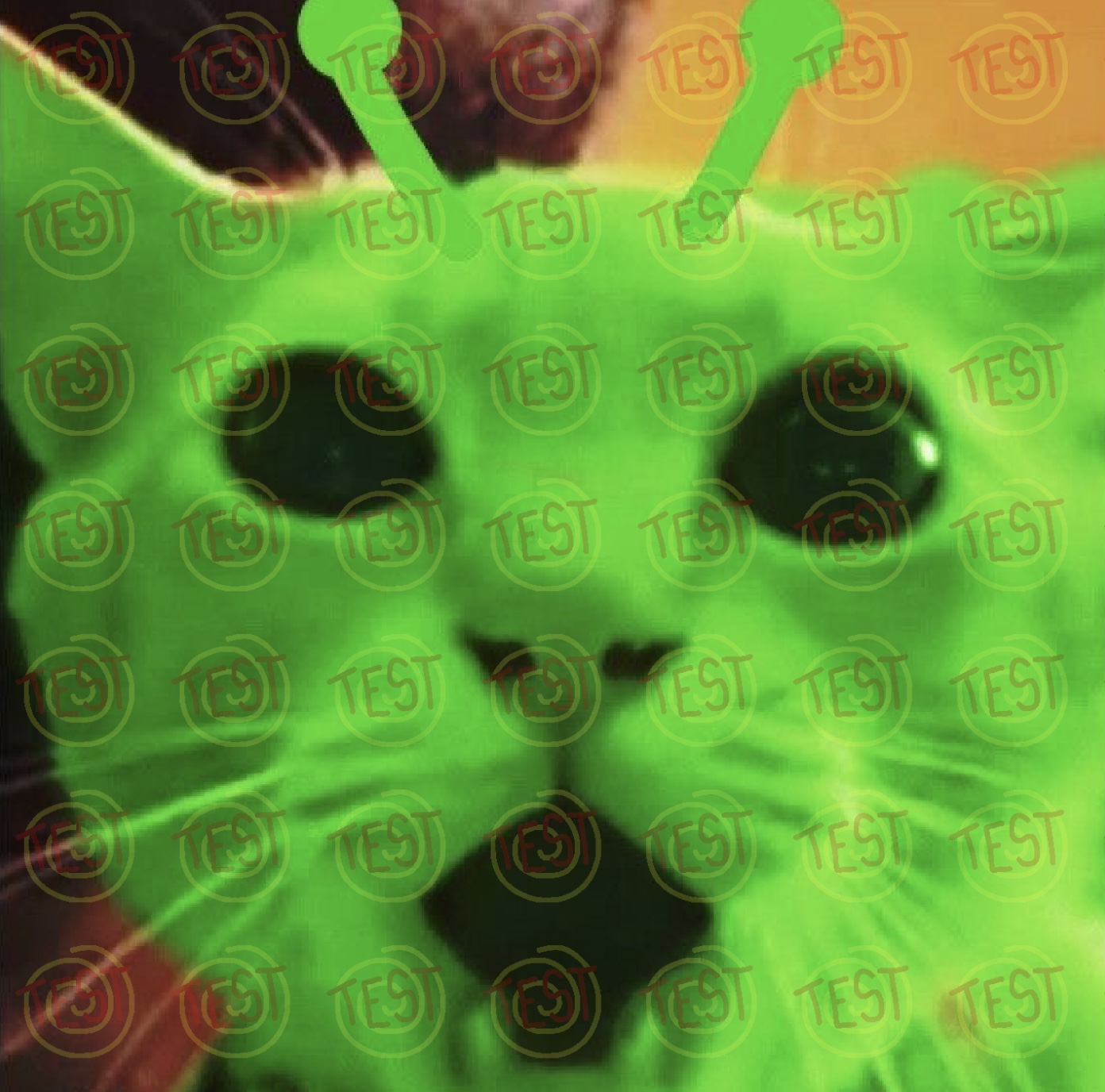 I need help with a watermark! on Toyhouse