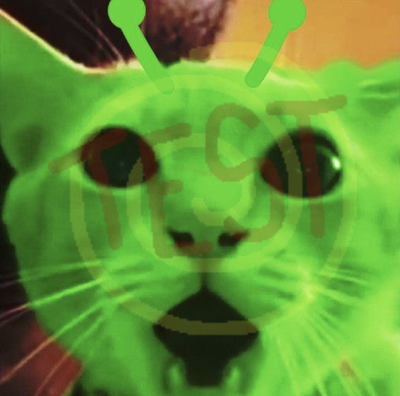 I need help with a watermark! on Toyhouse