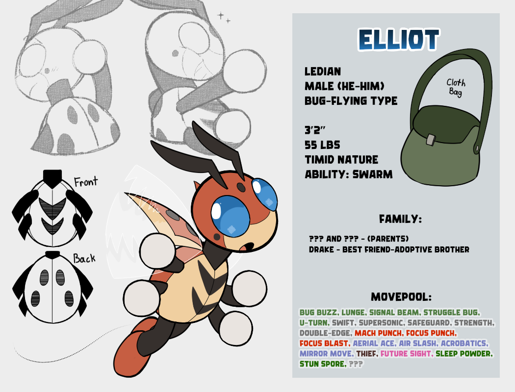 PKMN: Project Amulet - Character Profiles 💬