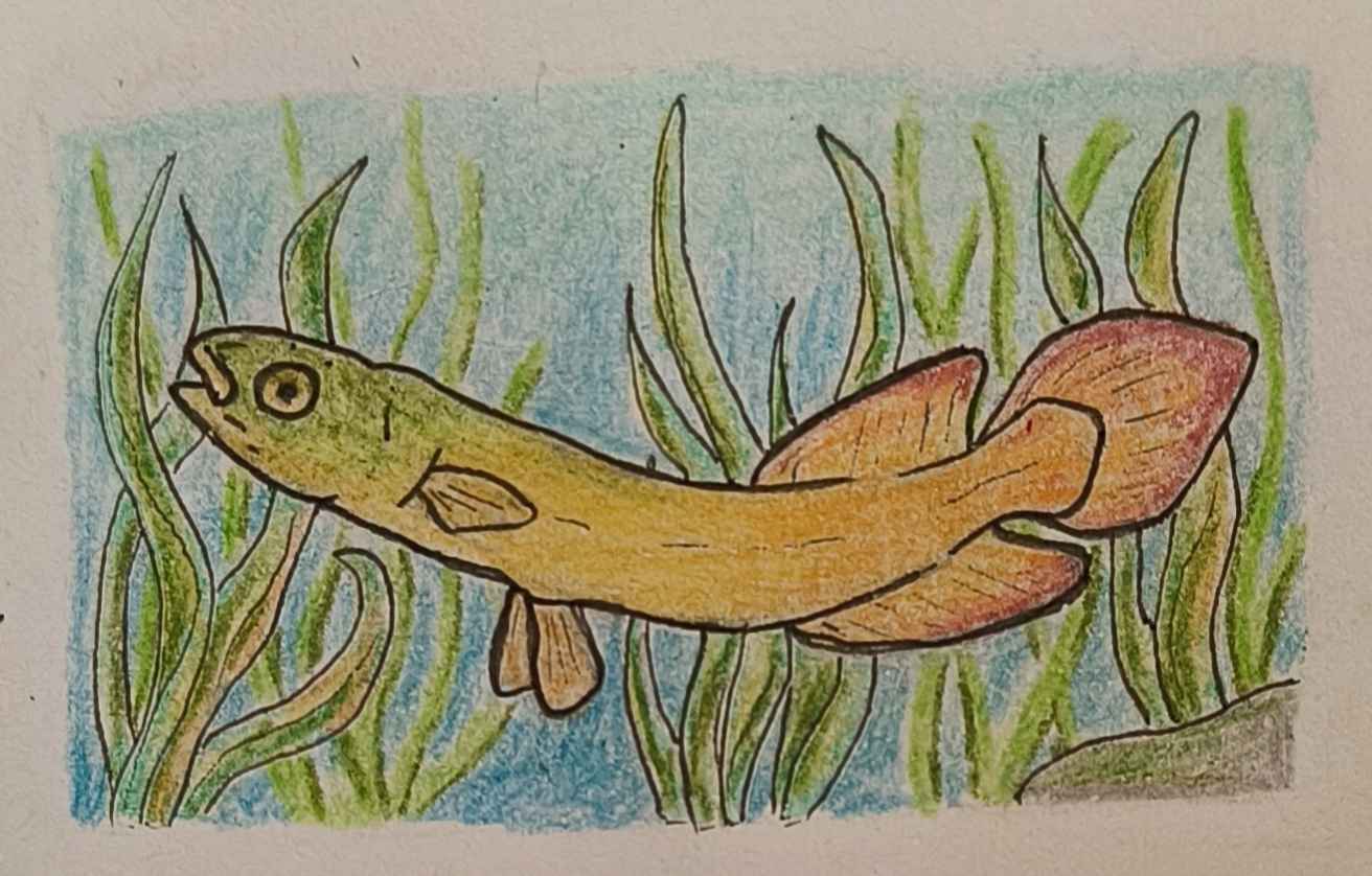 Speculative Evolution -> Indar