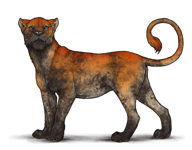 [Suggestion Masterpost] grassman 🌱 :|: Lioden