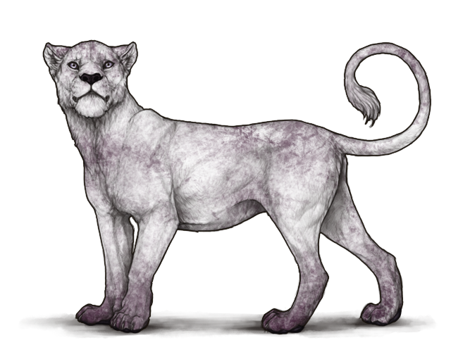 [100+] Breed-Only Dark Purple Marking Color: PLUM :|: Lioden