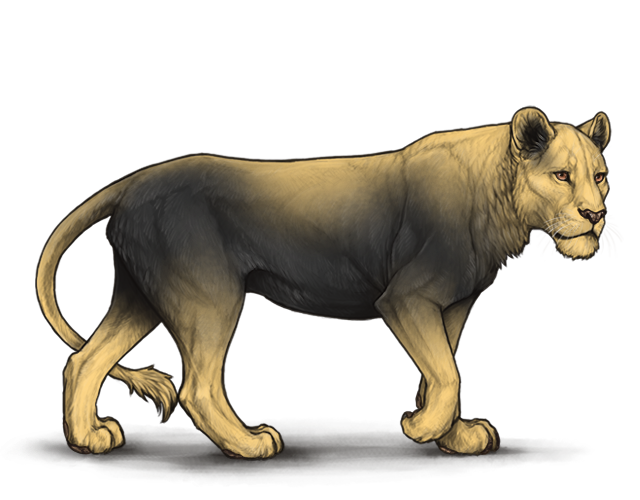 Marking Color Expansion: Royal [50+] :|: Lioden