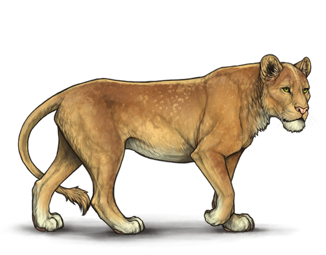 Marking Color Expansion: Royal [50+] :|: Lioden