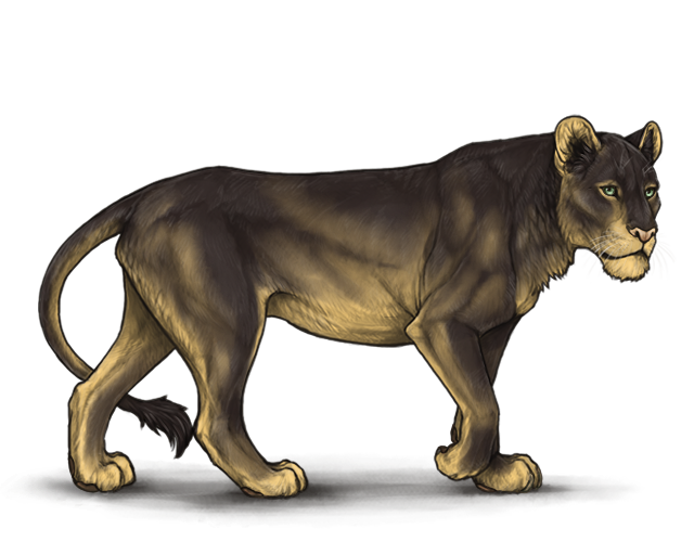 Marking Color Expansion: Royal [50+] :|: Lioden