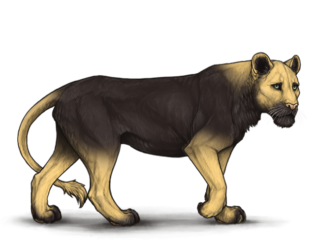 Marking Color Expansion: Royal [50+] :|: Lioden
