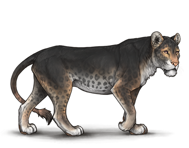 Marking Color: Tusk [100+] :|: Lioden