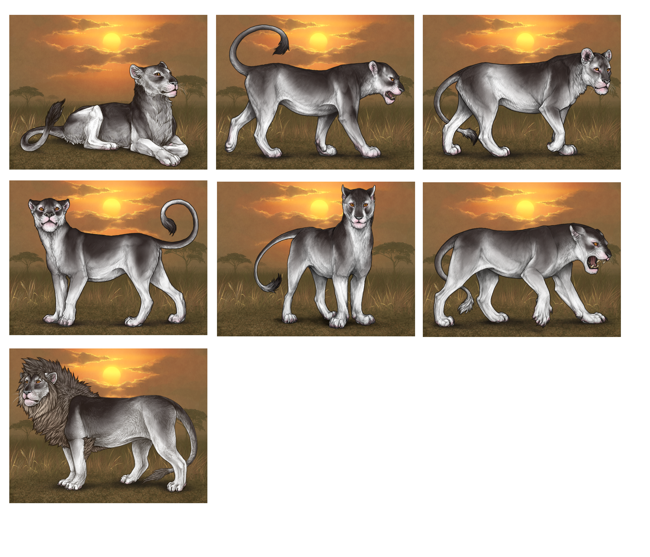 [Fw Arlexa] Tangor Brindle & Noctis Pelage dis :|: Lioden