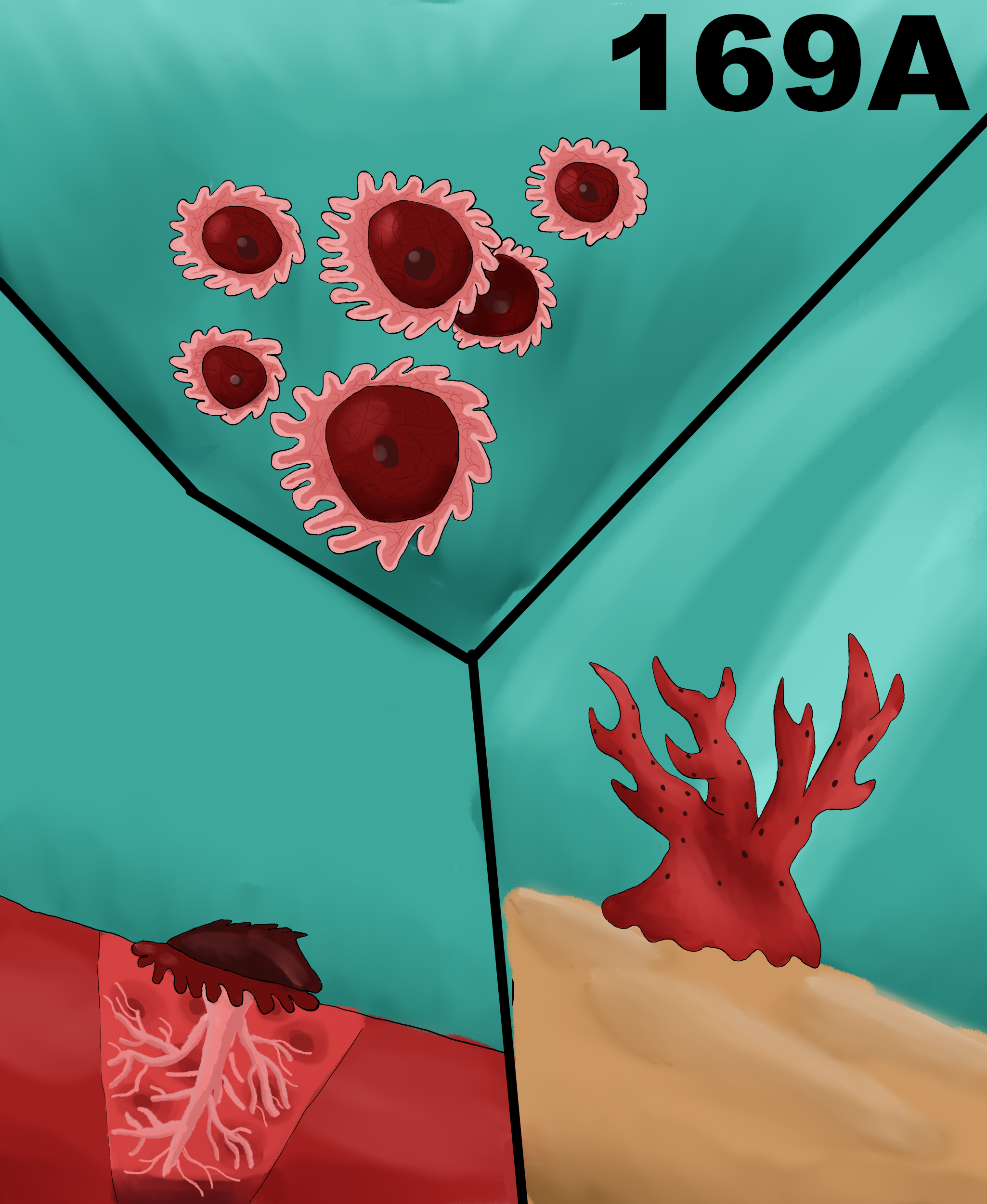 Sagan 4 Forum -> Week 27 - Generation 169 Compendium