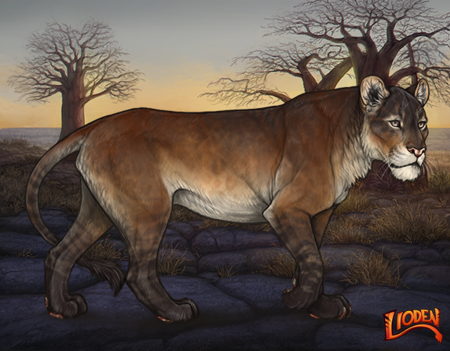 11 21 25 Raffle Lioness Forum Lioden 1671